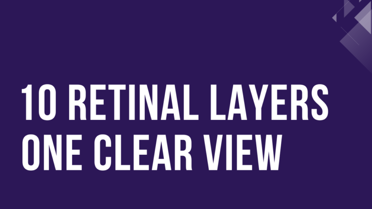 Retinal Anatomy Simplified: 10 Layers Explained with OCT Correlation ...