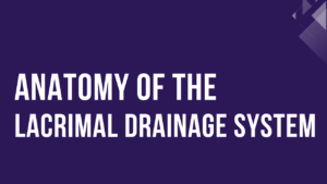 Anatomy of the Lacrimal Drainage System｜Poi Sensei's Eye Dojo